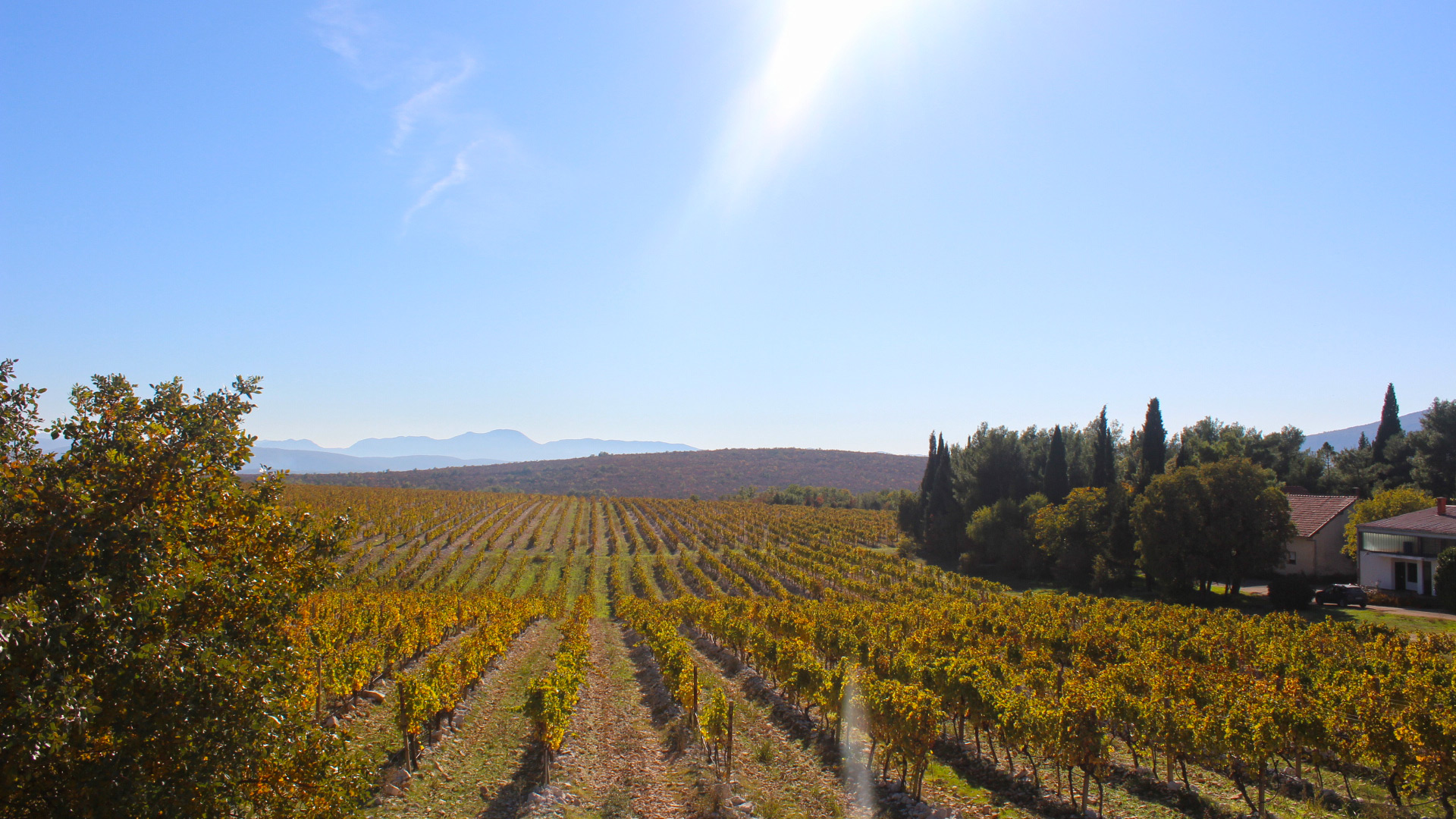 Vinarija Citluk | Balkan Mood AS